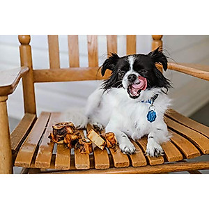 K9 Connoisseur Single Ingredient Dog Bones Made in USA for Small Breed Dogs Natural Long Lasting Marrow Filled Bone Slice Chew Treat Best for Dogs Or Puppies Up to 15 Pounds 3 Pack of 6 Slices