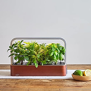 edn SmallGarden with Basil SeedPods, Indoor Grow Smart Garden Starter Kit for Fresh Home Grown Herbs, Plants and Flowers