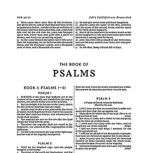 Personalized Bible Custom Text Your Name KJV Deluxe Gift Holy Bible Pink Leathersoft King James Version Custom Made Gift for Baptism Christenings Birthdays