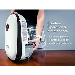 Eva-Dry Air Dehumidifier for Home – Portable Dehumidifier for Small & Medium Spaces Up to 2,500 Cubic Ft. – Quiet Dehumidifier for Basements, RVs, Bathrooms, Laundry Rooms, Campers, Bedrooms, & More