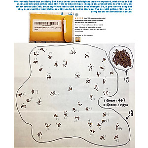 HipGirl 700 Baby Bok Choy Seeds for Sprouting,Cabbage Seeds for Planting,Microgreen Seeds Planting Seeds for Home Vegetable Garden. (Pak Choi Shanghai Seeds(上海青江菜),2g, 700 Seeds)