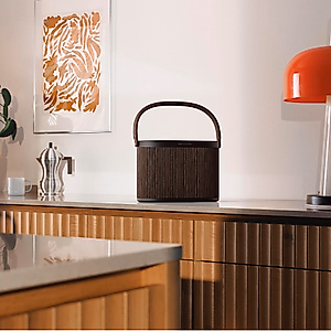 Bang & Olufsen Beosound A5 - Portable Bluetooth Speaker with Wi-Fi connection, Carry-Strap, Dark Oak