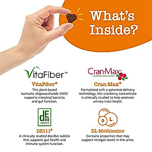 Zesty Paws Stay Green Bites for Dogs - Grass Burn Soft Chews for Lawn Spots Caused by Dog Urine - Cran-Max Cranberry for Urinary Tract & Bladder - with Apple Cider Vinegar + Digestive Enzymes - 90ct