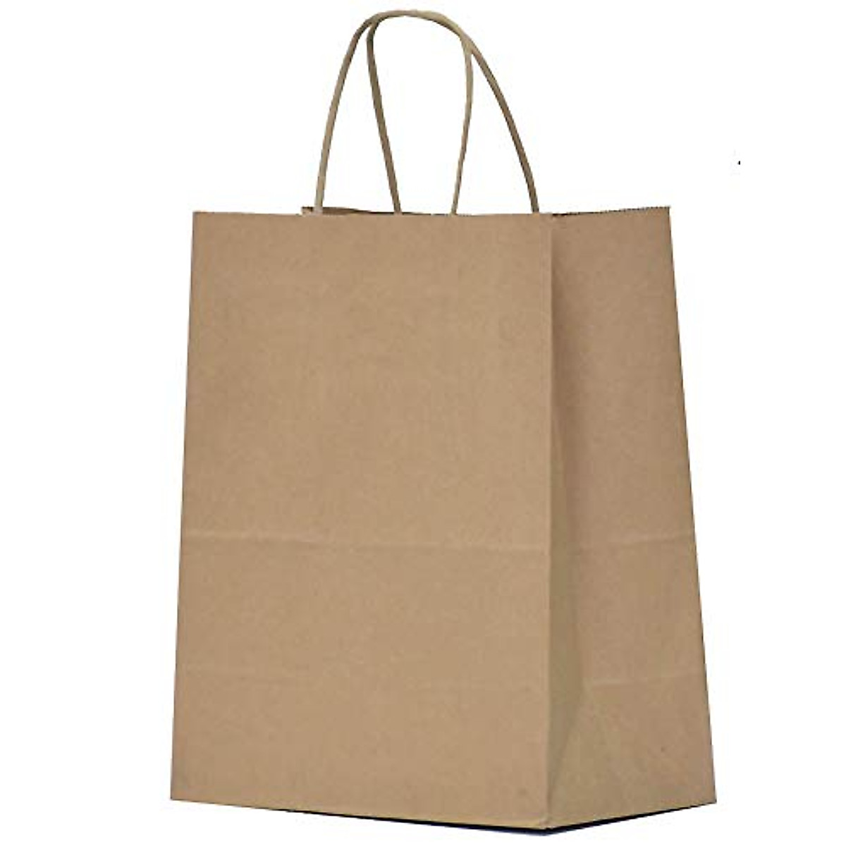 Qutuus 10x5x13 Kraft Paper Bags 100 Pcs Kraft Shopping Bags, Paper Gift Bags, Retail Bags, Recycled Bulk Paper Bags, Brown Paper Bags with Handles Bulk