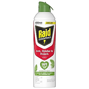 Raid Essentials Ant, Roach & Spider Killer Aerosol Spray, Child & Pest Safe, Kills Insects Quickly, for Indoor Use 10oz