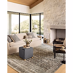 Loloi Amber Lewis x Morgan Collection MOG-02 Navy/Sand, Traditional 2' x 3'-6" Rectangle Accent Rug feat. CloudPile™