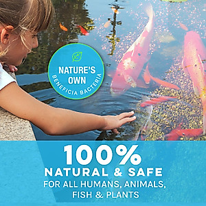 MICROBE-LIFT PL Pond Bacteria and Outdoor Water Garden Cleaner, Safe for Live Koi Fish, Plant Life, and Decor, 1 Gallon