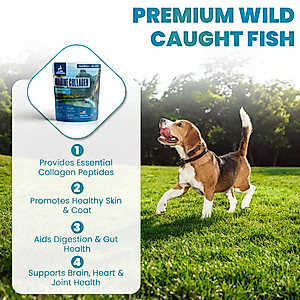 Wild Caught Marine Collagen Peptide for Dogs- Improves Gut, Skin & Coat Health, Allergies, Pet Mobility Hip & Joint Supplement Health