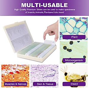 100 Pcs Microscope Slides with Specimens for Kids,Prepared Microscope Slides for Kids,Prepared Slides for Microscope,Microscope with Slides for Student Adults, Including Insect, Animal, Human Tissue