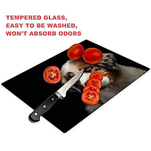 Tempered Glass Cutting Board Cute puppy Australian Shepherd blue merle dog portrait Tableware Kitchen Decorative Cutting Board with Non-slip Legs, Serving Board, Large Size, 15" x 11"