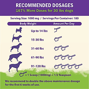ZENAPET Allergy Immune Support Supplement for Dogs, Superfood 100% Human-Grade with Turkey Tail Mushroom, Prebiotics for Gut Health, Itchy Skin, Seasonal Allergies & Yeast - for Small to Large Breeds