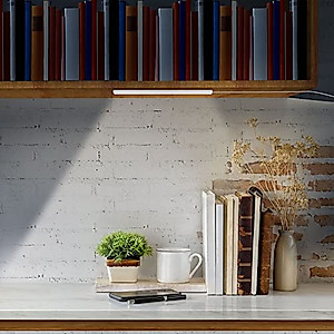 DWEPTU Under Cabinet Lighting Dimmable Under 12 Inch Cabinet Lights with USB Powered for Closet Light Bar Under Counter Lighting Work Tables Student Dormitory (Include AC Power Plug)