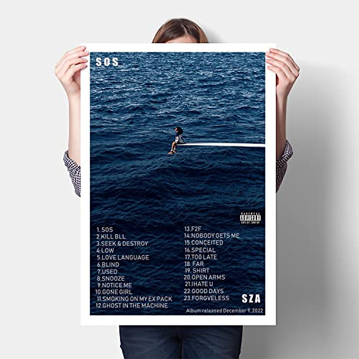 Singer Poster Sos Album Poster Music Singer Canvas Wall Art Print Artwork Home Decoration Gift For Friends Wovvsu Santa Rona (A,16x24inch-No Framed)