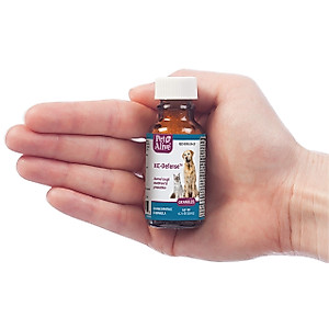 Native Remedies 352411 PetAlive® RespoCough Protect ComboPack for Pets