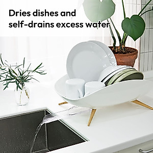 carrotez Dish Drying Rack, Dish Rack, Dish Drainer, Dish Rack and drainboard Set, Dish Drying Rack with drainboard and Swivel Spout, Kitchen Countertop, Easy Installation, Durable, Rustproof, White