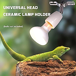 Dehydrator Ceramic E27 Reptile Heat Lamp Holder with ON/Off Button Switch, Reptile Pet Healthy Light Base Rotatable Bulb Holder for Turtle Aquarium Aquatic Reptile Lizard