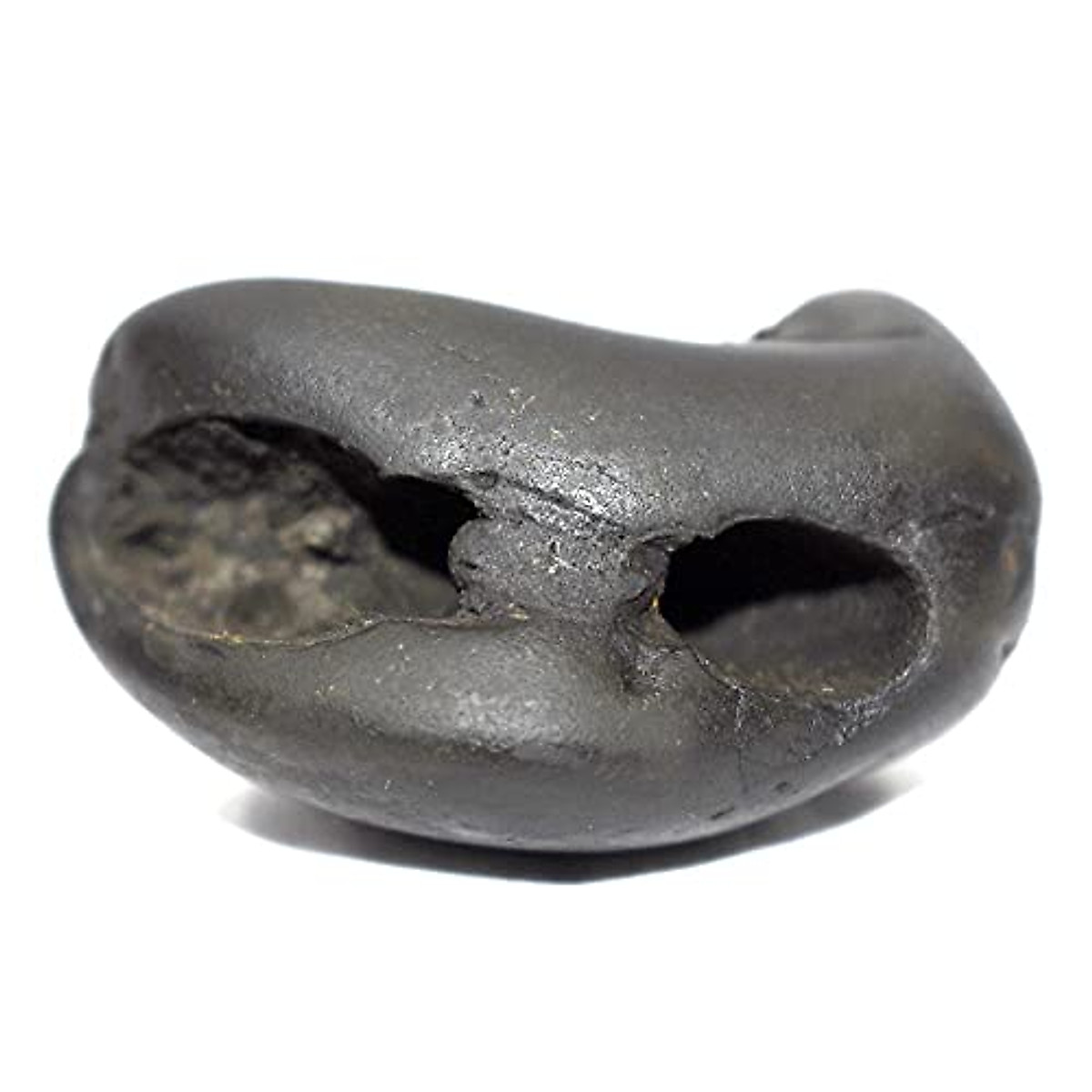 Rudrakshguru TriVikrama Shaligram - Gandaki River Nepal