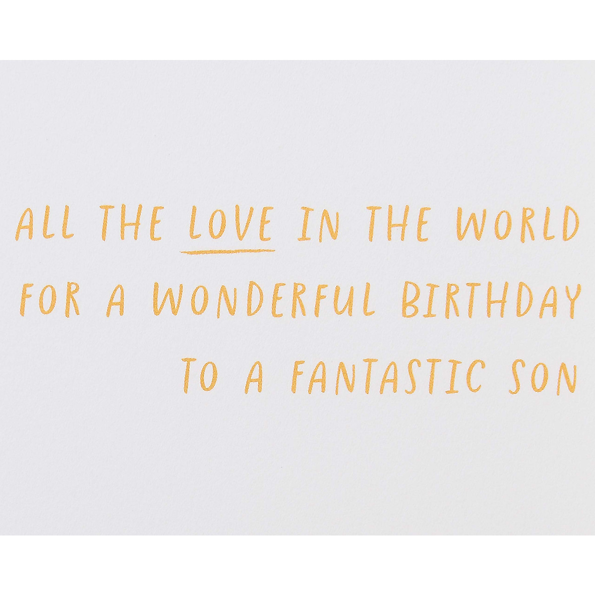 Papyrus Birthday Card for Son (All the Love In the World)