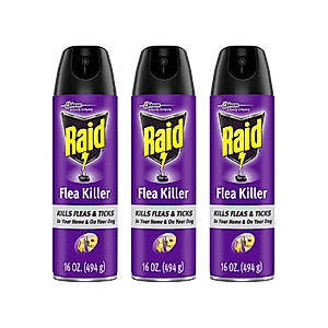 Raid Flea Killer 16 OZ (Pack of 3)