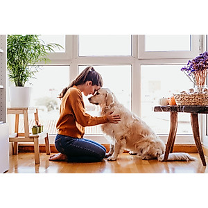 Nutri Chomps Dog Chews, Real Chicken, Peanut Butter and Milk Flavors | Easy to Digest Rawhide-Free Dog Treats