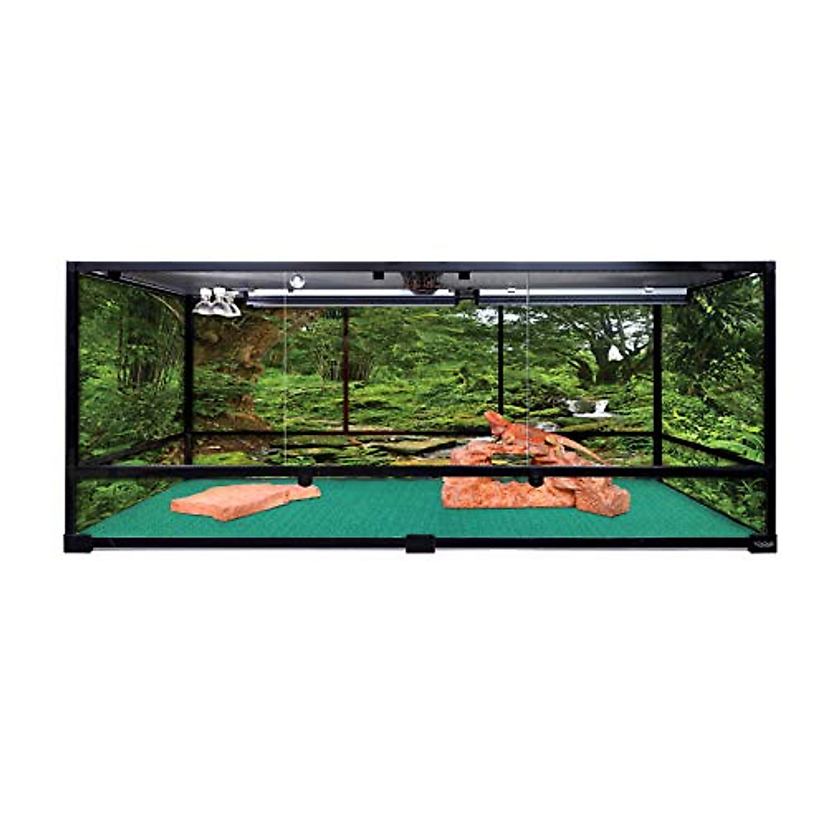 Carolina Custom Cages Terrarium, Tall Extra-Extra-Long Deep 60Lx24Wx24H; Easy Assembly