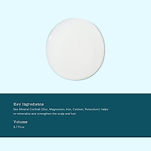 Christophe Robin Purifying Lightweight Conditioner Gelèe With Sea Minerals for Soft Lengths and Oily Scalp 6.7 fl. oz