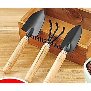 Diligent Farmer Mini Garden Tool Set, 3 Piece Hand Suit Small Shovel/Rake/Spade Ideal for Men and Women