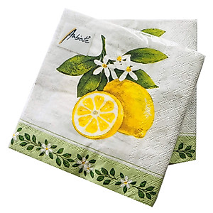 20-ct 3-ply 13x13 Lemon Napkins Lemon Paper Napkins Vintage Napkins Mother's Day Napkins Lemon Cocktail Napkins Lemon Dinner Napkins Paper Decorative Paper Napkins for Decoupage Father's Day Artist
