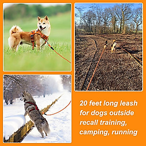 Vivifying Long Dog Leash, 32ft Floating Dog Training Leash, Check Cord Rope Leash with Comfortable Handle for Outside, Hiking, Swimming, Beach and Lake (Orange)