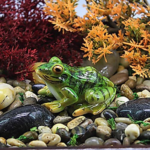MAOMIA 2pcs Miniature Frog Figurine, Fish Tank Decoration Fairy Garden Turtle Statue Landscape Indoor Outdoor Decor Ornament