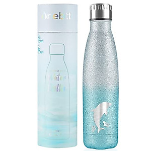 Onebttl Dolphin Gifts for Women, Dolphin Gifts For Christmas, Stainless Steel Glitter Bottle 17oz, Silver-Blue