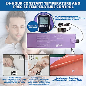 250 W Waterbed Heater - Safe and Durable Softside Waterbed Heater with Lcd Display, Multi-mode Adjustable Smart Thermostat