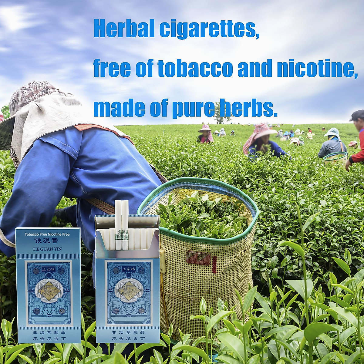 Fetcasy® Herbal Cigarettes - Tobacco and Nicotine Free， 2 Packs 40 Smokes