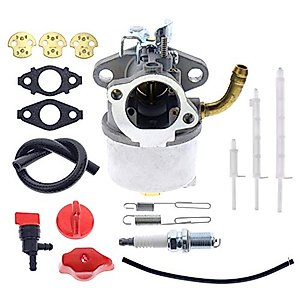 Cnfaner 798917 Carburetor for 794587 791953 791292 Replaces 12A000 12C000 12D000 Snowblower Engines