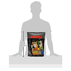 Roudybush High Energy Bird Food, 10-Pound, Medium