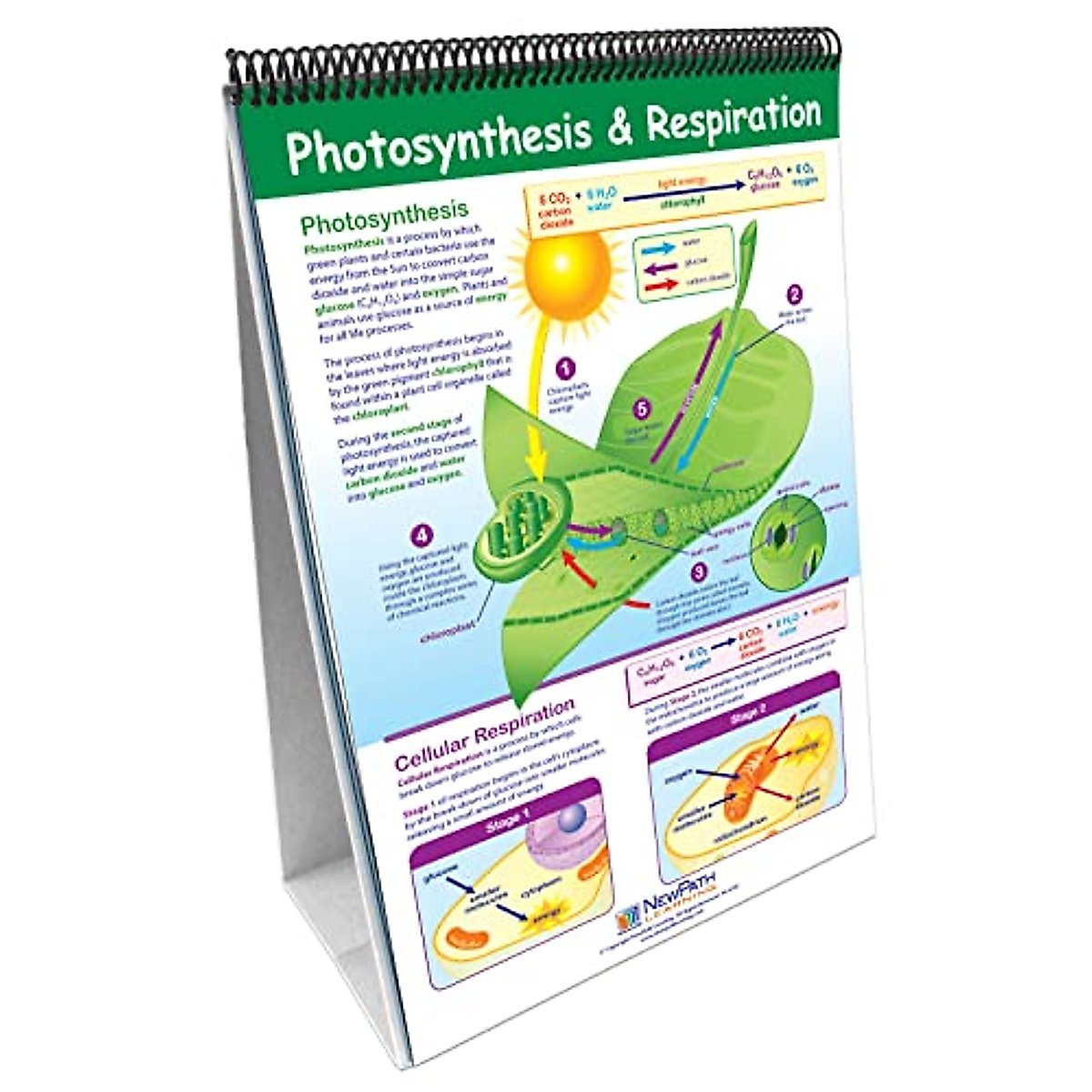 NewPath Learning 10 Piece Mastering Middle School Life Science Curriculum Mastery Flip Chart Set, Grade 5-9 Multi, 12 L X 18 W in