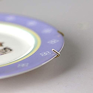 Fasunry 12 Pack Plate Hangers, 8 10 12 Inch Wall Plate Hangers and 16 Pack Wall Hooks, Compatible 7.5 to 12.5 Inch Decorative Plates, Antique China, Antique Plates and Arts