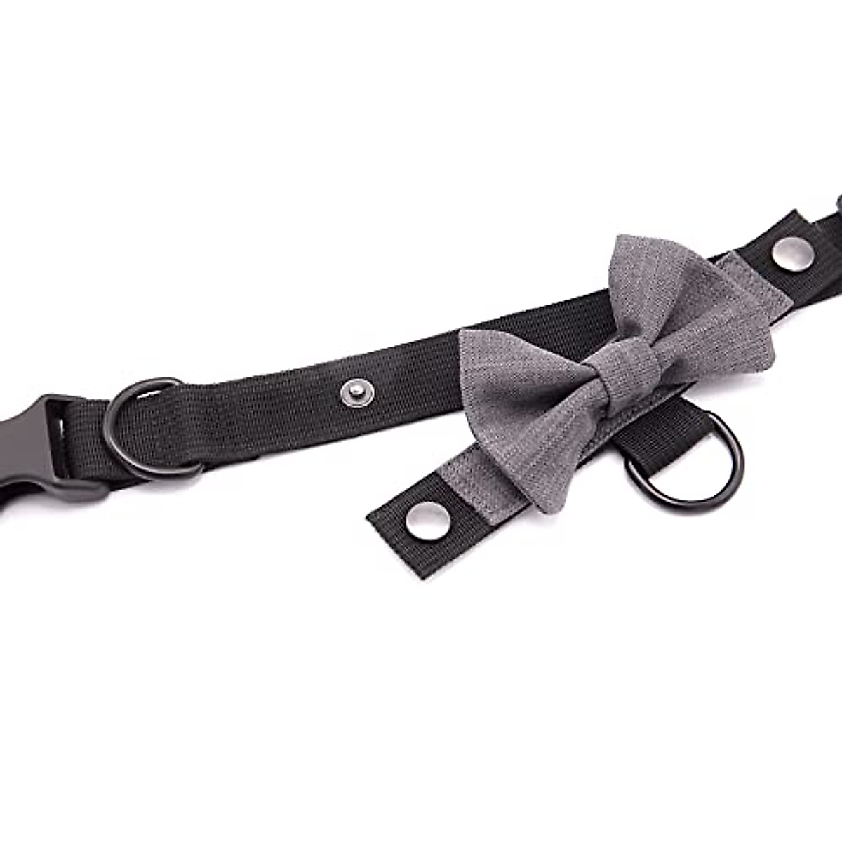BOW Gentle - Modular Dog Collar