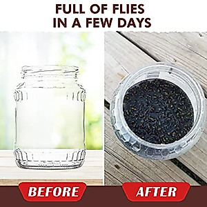 300g Fly Trap Refill, Reusable Fly Bait, 10 * 30g Fly Magnet Bait Refill Killer, Attractant for Ranch Fly Traps Outdoor