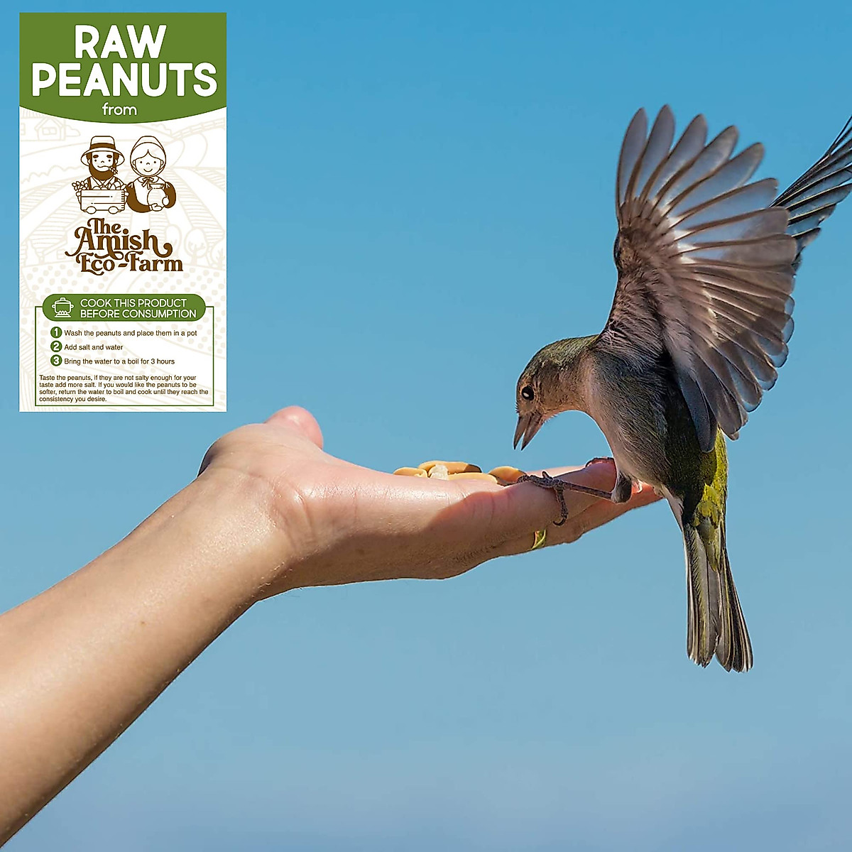 Amish Eco-Farm | Raw Peanuts in Shell, Virginia Grown by Hamptons Farms | Great for Boiling, Squirrels Feed, Birds Feed and Wildlife. (4lb Bag)