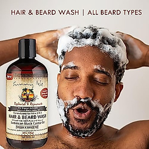 Sunny Isle Jamaican Black Castor Oil 2-N-1 Hair & Beard Wash 12oz | Cleanses, Hydrates, Moisturizes Hair & Skin | Detangles Beard | Paraben & Sulfate FREE