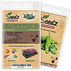 Organic Shishito Pepper Seeds (Approx. 55), 94% Germination Rate, Heirloom Vegetable Seeds, Certified Organic, Non GMO, Non Hybrid, USA