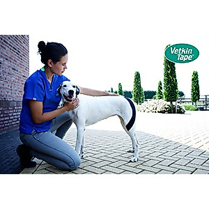 VETKIN VetkinTape® Veterinary Kinesiology Tape Black | Kinesiology Tape for Horses & Dogs | Equine & Canine Kinesiotape | Latex Free and TÜV Quality Mark Certified Ktape | 1.2 inch | Pack of 2 Rolls