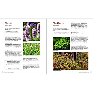 The Herbal Apothecary: 100 Medicinal Herbs and How to Use Them