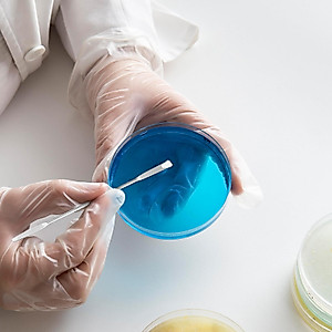 4PCS Micro Double Ended Spatula Stainless Steel Mini Spatula Metal Laboratory Mini Double-Ended Spatula Micro Square/Round End Spatula, 6.3"