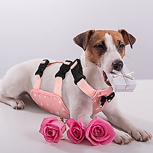 Queenmore Dog Chest Protective Shirt, Belly Clothes to Keep Warm and Keep Chest Clean, Waterproof Adjustable Breathable Apparel for Male Female Dogs, Pink L