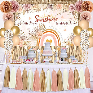 Boho Baby Shower Decorations for Girl A Little Ray of Sunshine Daisy Boho Backdrop Blush Pink Balloons Dusty Rose Paper PomPoms Champagne Fringe Curtain for Boho Rainbow Birthday Baby Shower Decor
