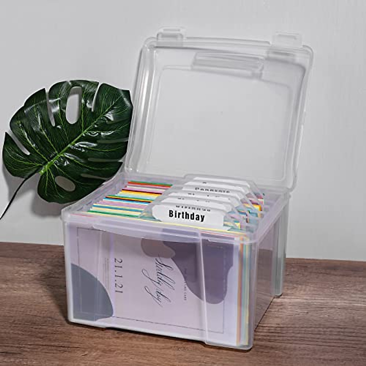 Greeting Card Organizer with Dividers