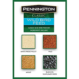 Pennington Classic Wild Bird Feed