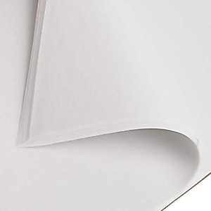 Strathmore 300 Series Tracing Paper Pad, Tape Bound, 14x17 inches, 50 Sheets (25lb/41g) - Artist Paper for Adults and Students